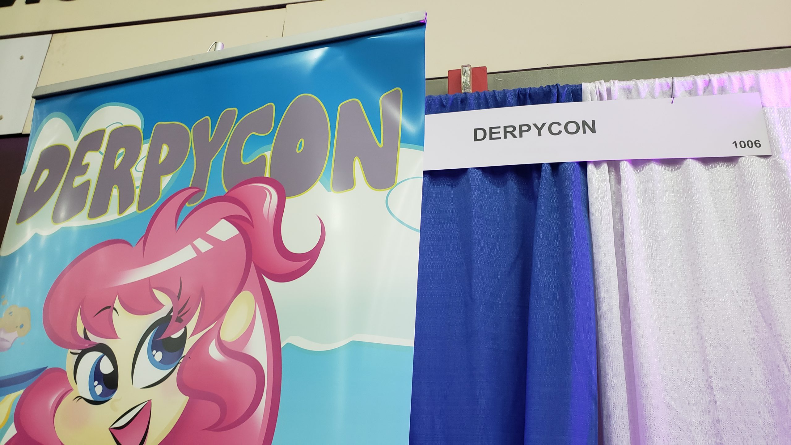 BronyCon Last Day | DerpyCon